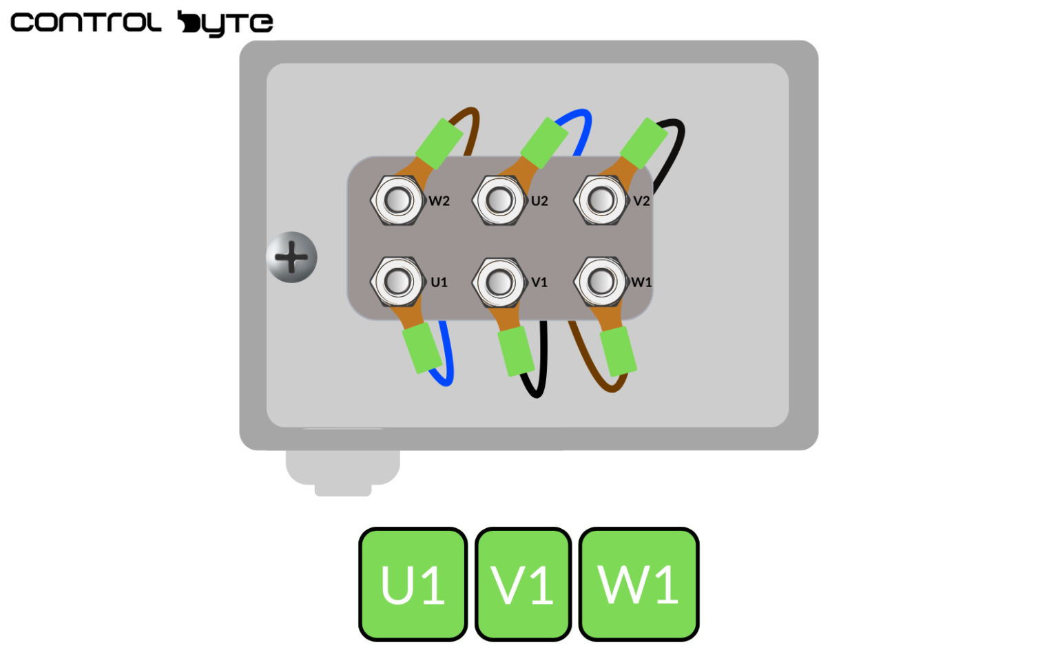 Star Delta Starter: PLC Program, Wiring, Motor Basics Explained